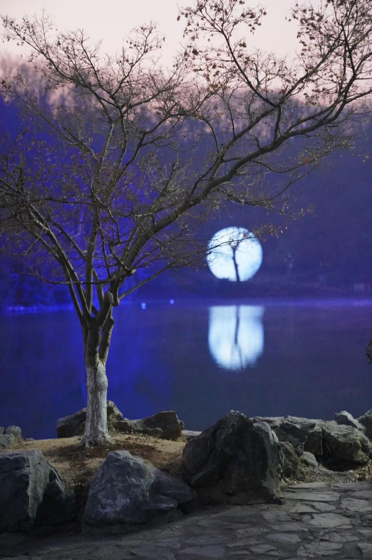 南京珍珠泉“龙腾虎跃过大年”正式拉开帷幕_新华网江苏频道