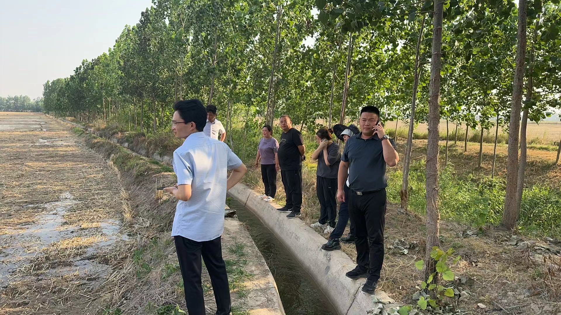 睢宁县沙集镇：凝聚“银发”力量 助力“三夏”农忙_新华网江苏频道
